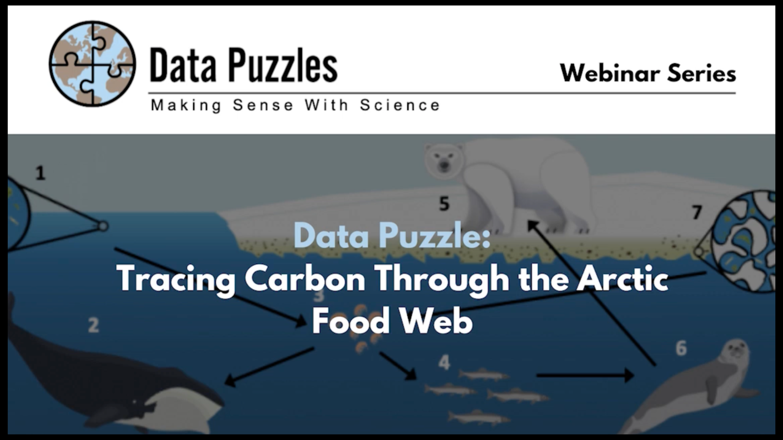 Webinars | Data Puzzles